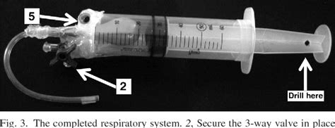 Figure 3 From A Model Of Locomotor Respiratory Coupling In Quadrupeds Semantic Scholar