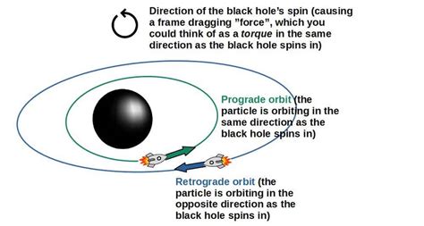 Black Hole Rosetta Orbit Model