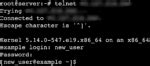 Linux Telnet Command With Network Troubleshooting Examples