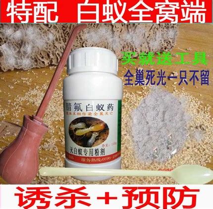案例展示6 治白蚁案例 厦门白蚂蚁防中心厦门白蚁灭除公司厦门灭白蚁站消杀白蚁电话号码 厦门白蚁防治公司厦门市白蚁防治消杀单位 厦门