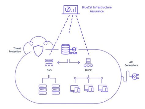 Five Ways To Avert Issues With Bluecat Liveassurance Bluecat Networks