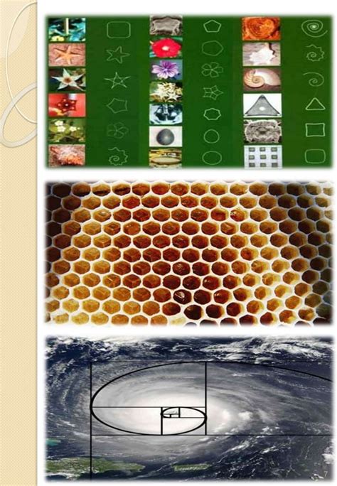 Application Of Mathematics In Daily Life Pptx