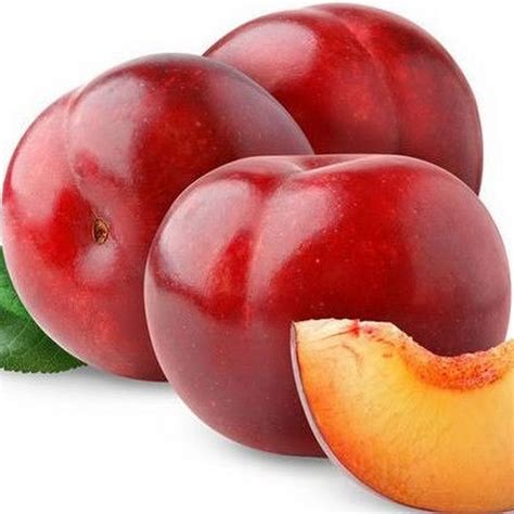 Sweetie Plum Youtube