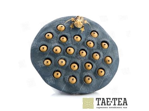 Фігурка «Жаба на лотосі ісинська глина Посуд ️ Купити ціна в Thetea