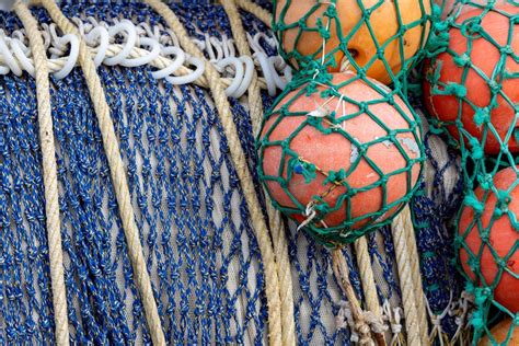 Netting Maintenance Tips Prolonging The Lifespan Of Your Investment