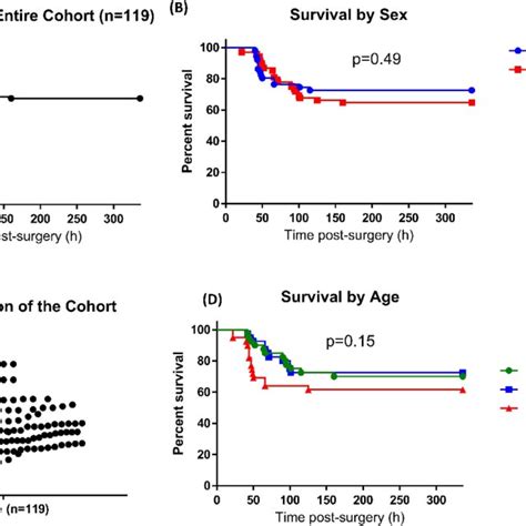 Animal Survival By Sex And Age We Analyzed Animal Survival In A Cohort