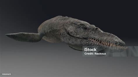 프레데터 X 플리오사우루스 펑케이 포즈를 취하는 배경 3d 렌더링 3차원 형태에 대한 스톡 사진 및 기타 이미지 3차원 형태 갈고리 발톱 고생물학 Istock
