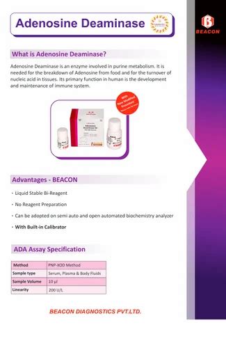 Beacon Liquizyme Hdl Cholesterol Direct Reagent Kit At ₹ 3450 Piece