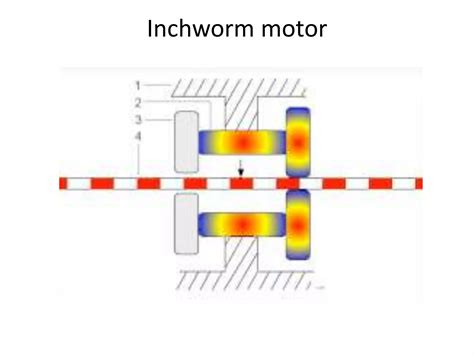 Inchworm Motorpptx