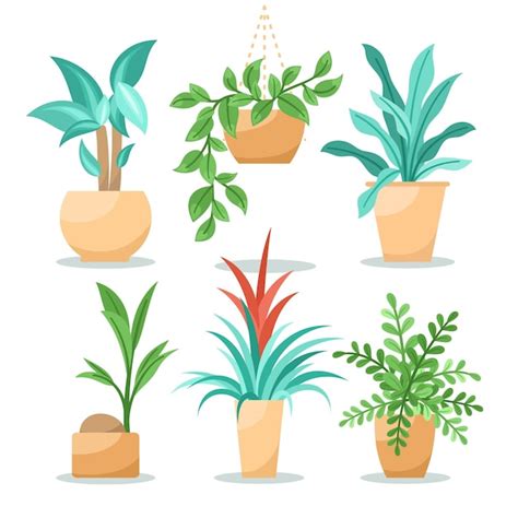 Colección De Plantas De Interior Planas Vector Gratis