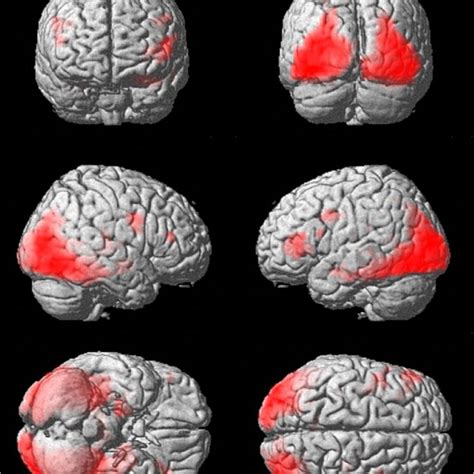 Design Of Picture Encoding And Memory Task A The Encoding Phase