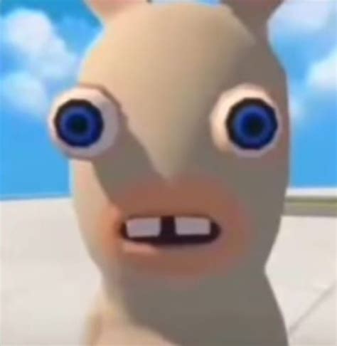 Idiot Rabbid Blank Template Imgflip