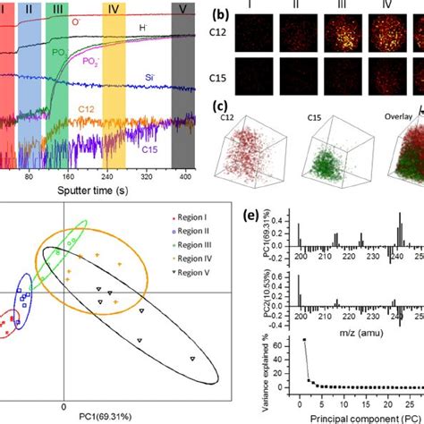 A Tof Sims Depth Profiling Of The Day 6 Biofilm Attached To The Sin