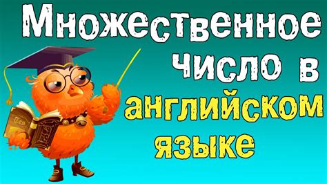 Образование множественного числа в английском языке таблица для детей