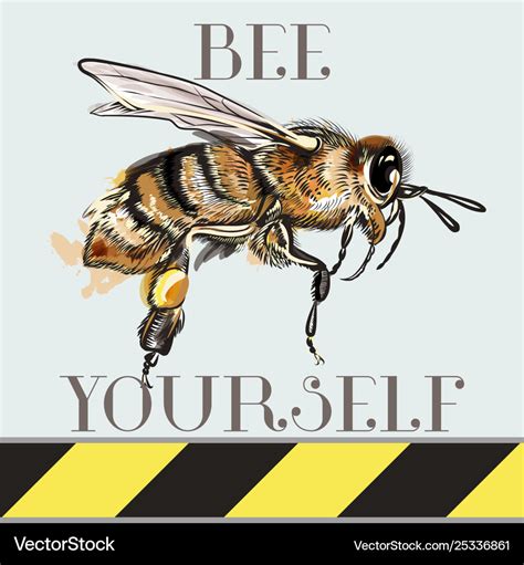 Be Yourself Fashion With Bee Royalty Free Vector Image