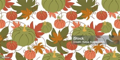 흰색 배경에 여러 가지 빛깔의 호박과 나뭇잎입니다 벡터 원활한 패턴입니다 플랫 스타일 꽃 배경입니다 추수 축제 장식 섬유 포장지