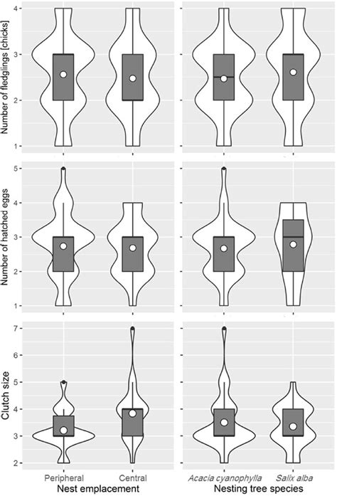 Violin Plots With Overlaid Boxplots Representing The Distribution Of