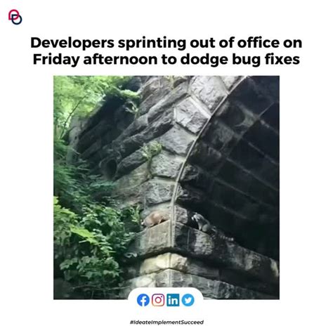 Brainium Information Technologies On Linkedin Developers Memesdaily