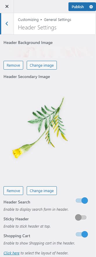 How To Configure Header Settings BlossomThemes