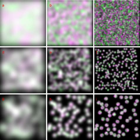 Effect Of The Spatial Resolution On Colocalization Simulated Images Download Scientific
