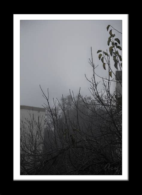 Creando Fotografías Día Gris