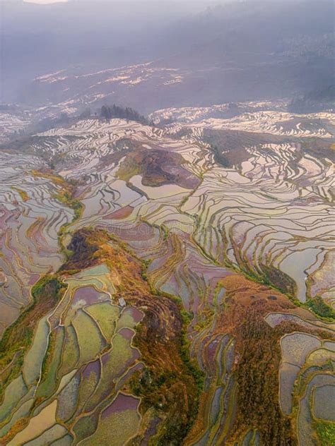 Terrazas De Arroz De Duoyishu Al Amanecer Patrimonio De La Humanidad De La Unesco Provincia De
