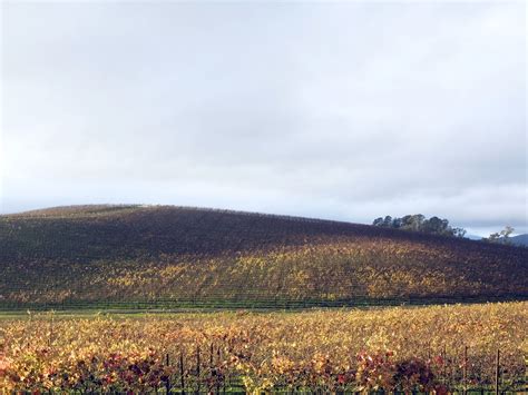 The Story Behind The Windows Xp ‘bliss Wallpaper The Most Viewed