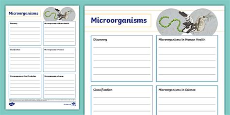 Microorganisms Fact File Template Professor Feito Twinkl