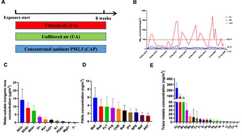 Pm 25 Exposure Characterization A Schematic Illustration Of The Pm