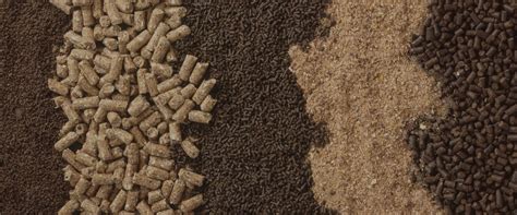 Контакты Магазин кормов для животных