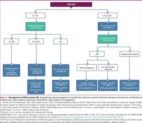 Figure 4 From Pan Asian Adapted Esmo Clinical Practice Guidelines For