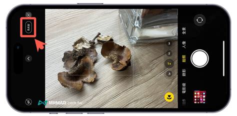 Iphone 14 Pro 相機4800 萬畫素怎麼開？設定與拍攝技巧全面看 瘋先生