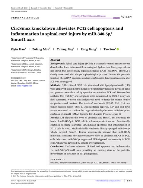 Pdf Circsmox Knockdown Alleviates Pc12 Cell Apoptosis And