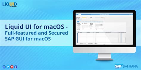 Synactive Inc On Linkedin Macos Sap Saperp Saphana Liquidui