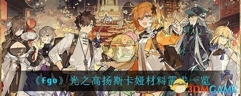 《fgo》光之高扬斯卡娅材料需求一览fatego中国游戏门户站
