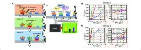 A Fabrication Schematic Of Heterogeneous Nanomaterial Array Download Scientific Diagram