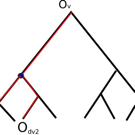 Bruhat Tits Tree For P 2 The Dilatation D On The Tree Slides The