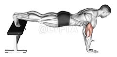 Decline Push Up Video Guide Lyfta