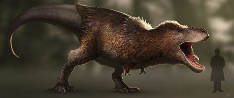 Are You Down” To Talk About T Rex Feathers Our Very Own Specimen Has