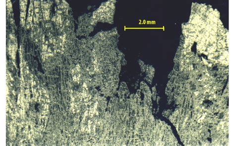 sem bse x 10 image of top section of core covering 3 cm of sample