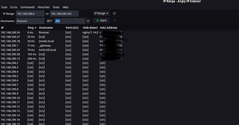 Angry Ip Scanner Command Line Exoticpastor