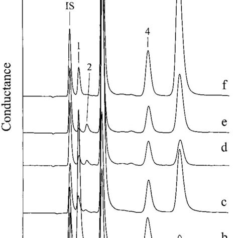 The Separation Of Anions By Ion Chromatography Coupled With