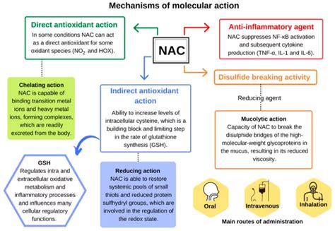 What Is Nac N Acetylcysteine And Its Many Heath Benefits Altasano
