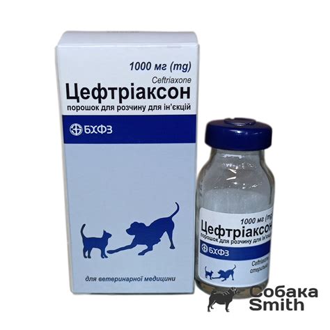 Цефтриаксон для котов, собак, 1 г (БХФЗ) купить по лучшей цене 26.50 грн