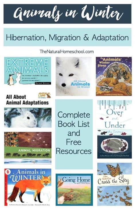 Hibernation Adaptation And Migration Book List And Free Resources