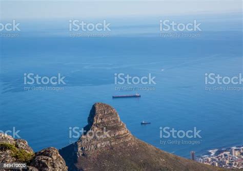 남아 프리 카 공화국에 케이프 타운에 테이블 마운틴 자연 보호 위에 프리 0명에 대한 스톡 사진 및 기타 이미지 0명 관광 나무 Istock