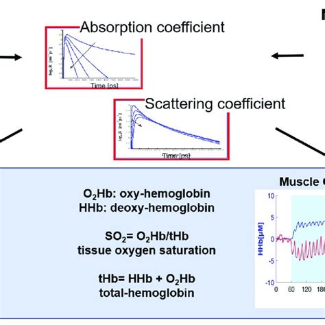 A Schematic Representation Of Eeg Signal Processing Workflow And Download Scientific Diagram