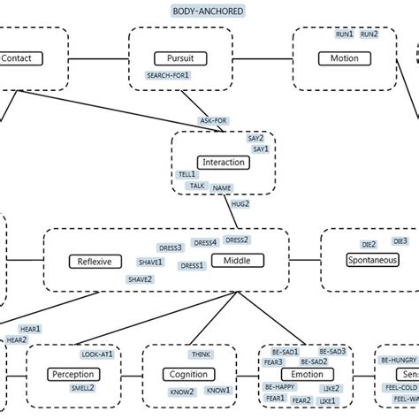 pdf verb types and semantic maps