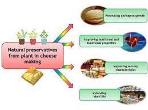 Freda Natural Preservative For Bakery Products Dairy Beverages