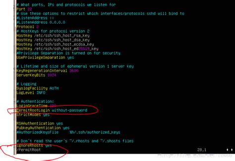 将本地文件上传到linux目录下 上传到vm虚拟机中 vm怎么把文件传到里面 csdn博客